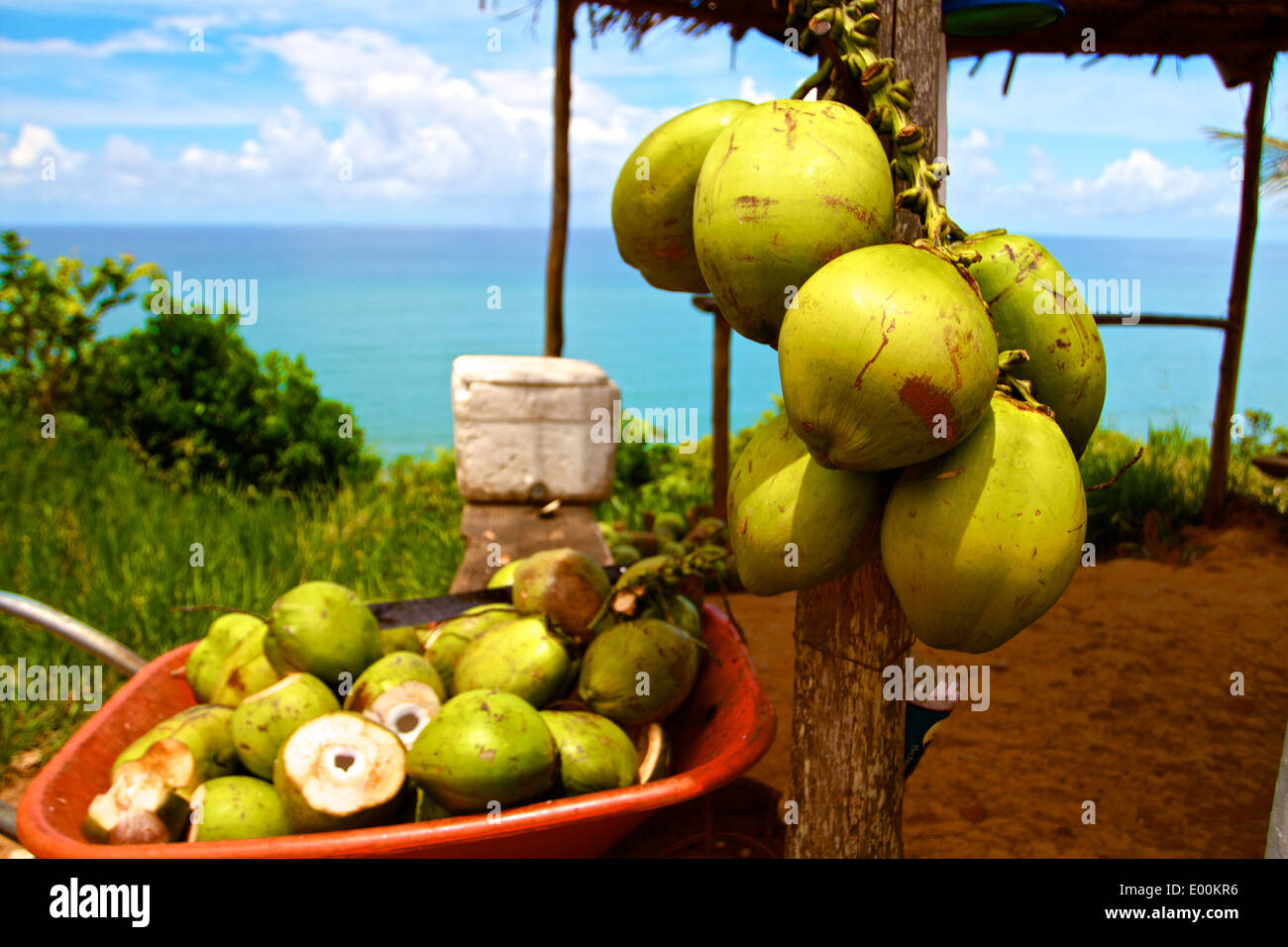 A coconut with the sea in the background. Itacare, Bahia, Brazil Stock ...