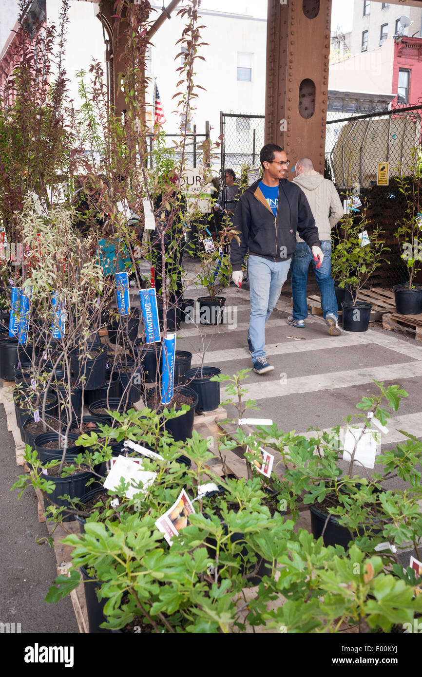 New Yorkers at the Urban Garden Center in East Harlem in New York Stock ...