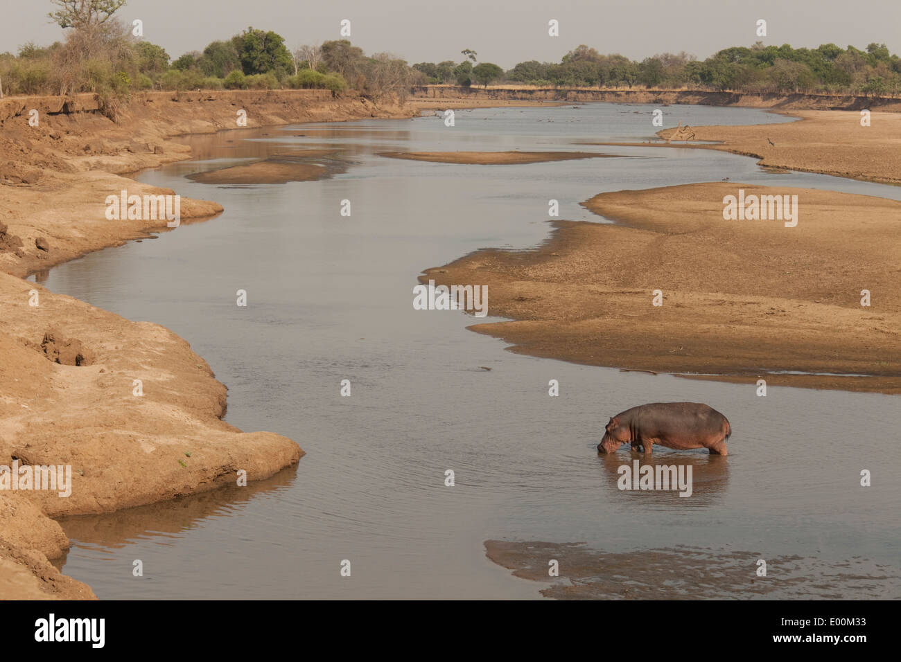 Luangwa river hi-res stock photography and images - Alamy