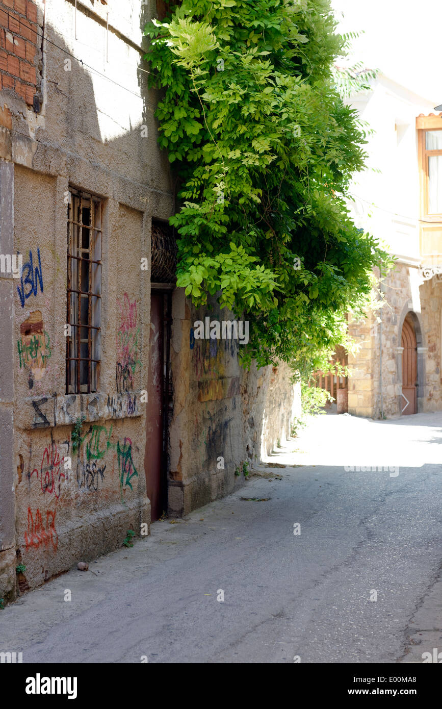 Quiet leafy lane lined with old rundown buildings inside castle ...
