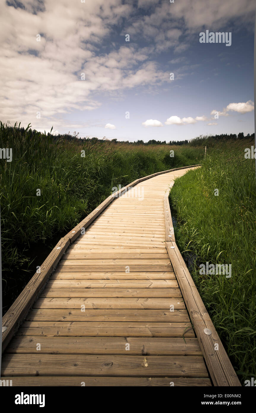 North Creek Park, Snohomish County, Washington, USA Stock Photo - Alamy