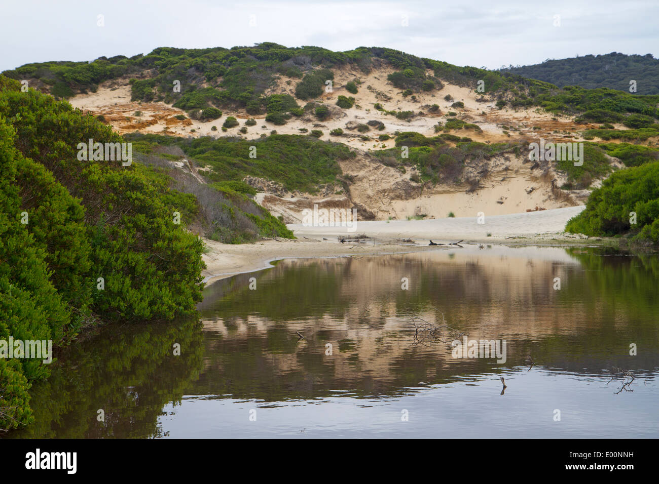 Dunes and lagoon at Roaring Beach, on Tasmania's Tasman Peninsula Stock ...