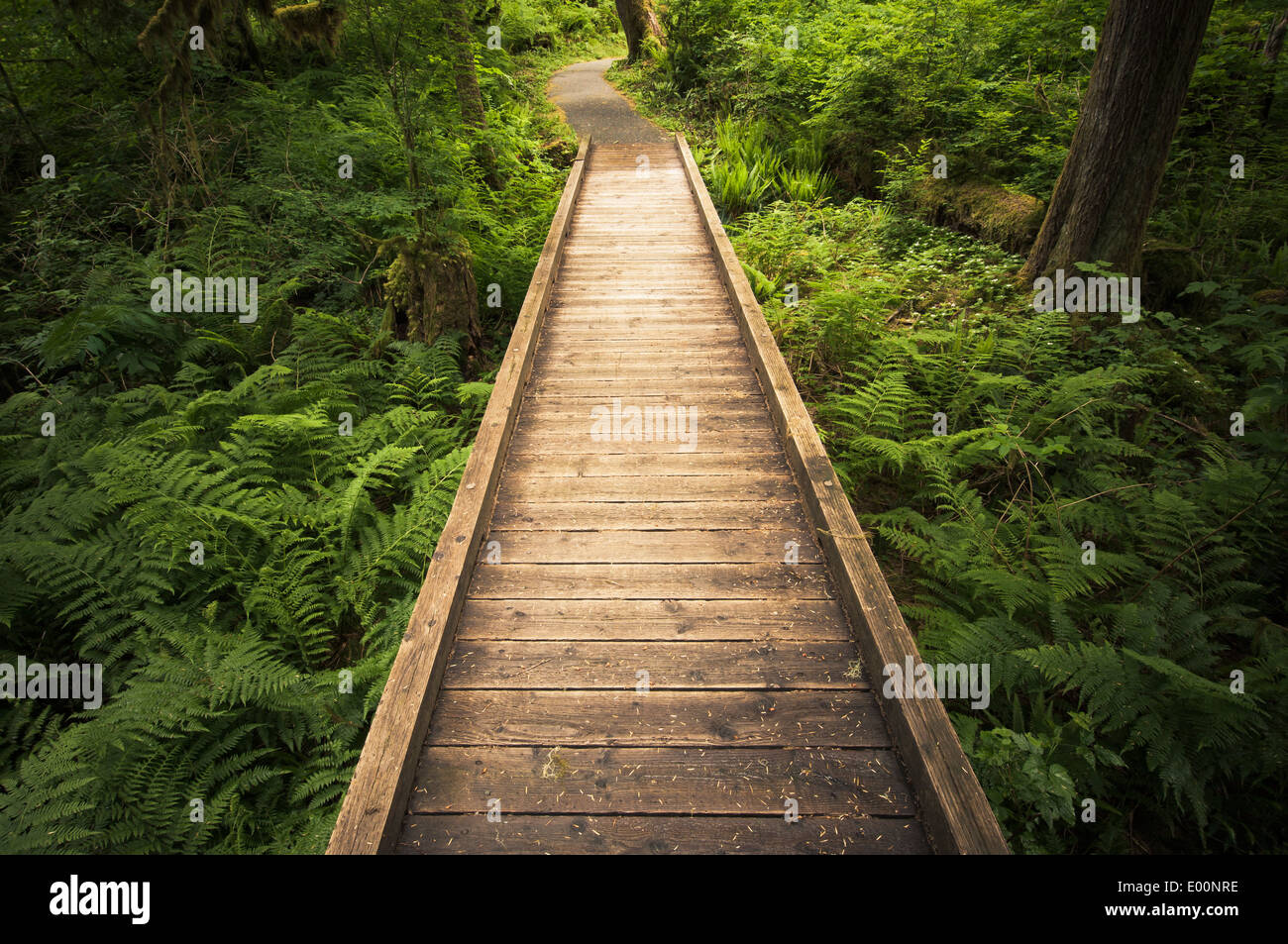 Shadow lake trail hi-res stock photography and images - Alamy