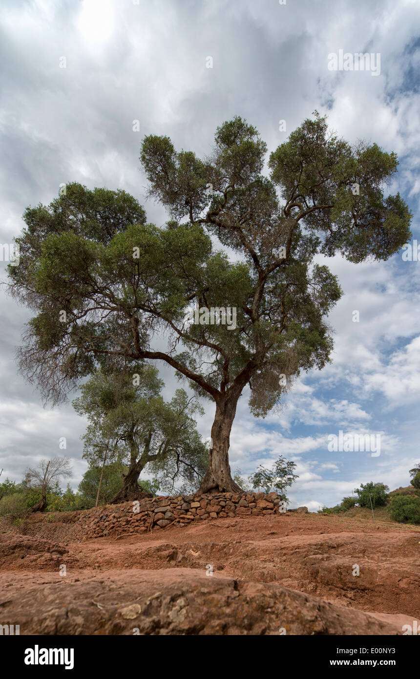 Ethiopian historical sites hi-res stock photography and images - Alamy