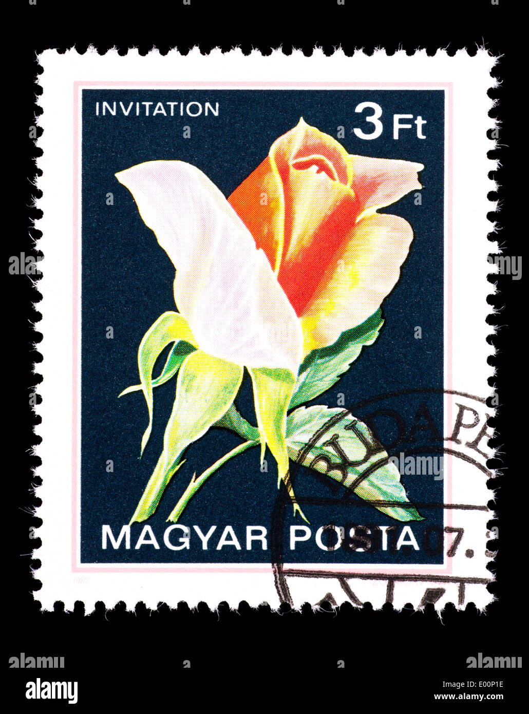 Postage stamp from Hungary depicting a rose variety "Invitation Stock ...