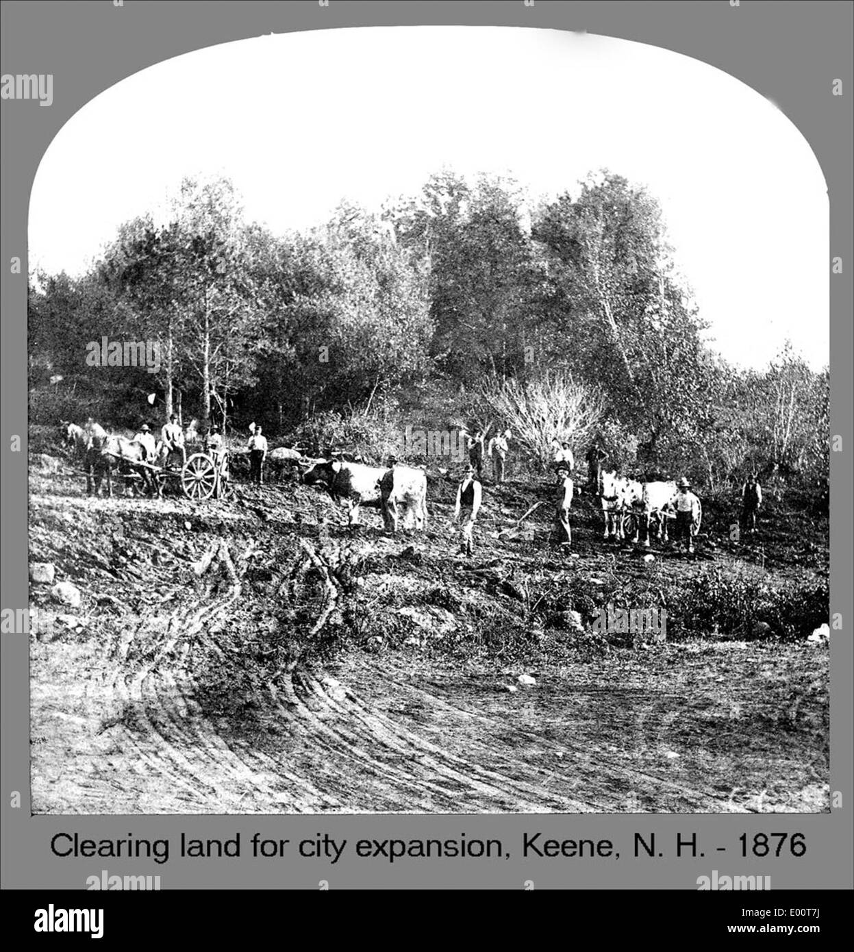 This 19th-century artwork by J.A. French depicts the clearing of land ...