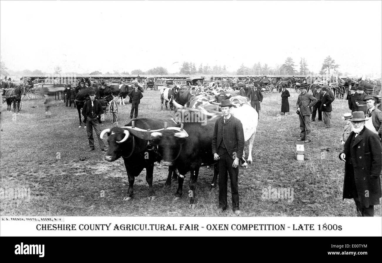 Fair well Black and White Stock Photos & Images - Alamy