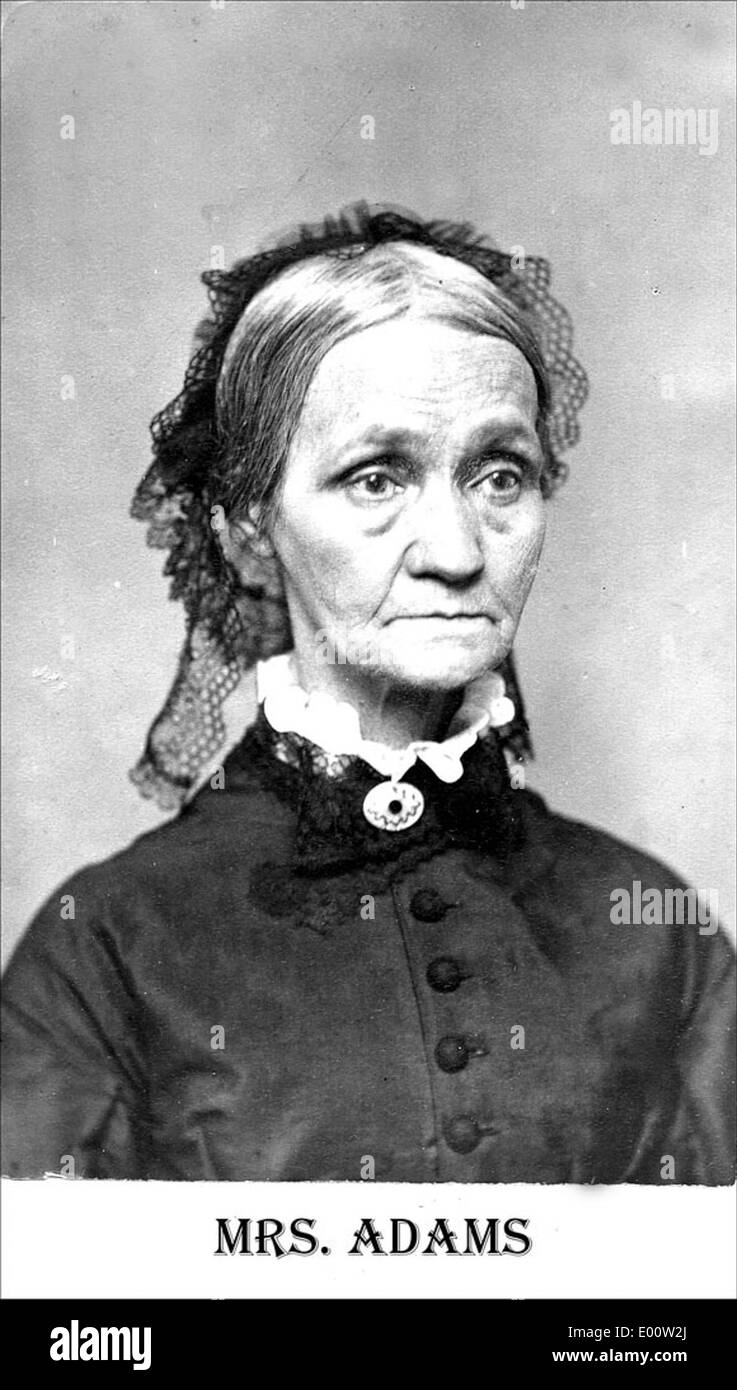 The portrait of Mrs. Adams from Keene, New Hampshire, by J.A. French ...