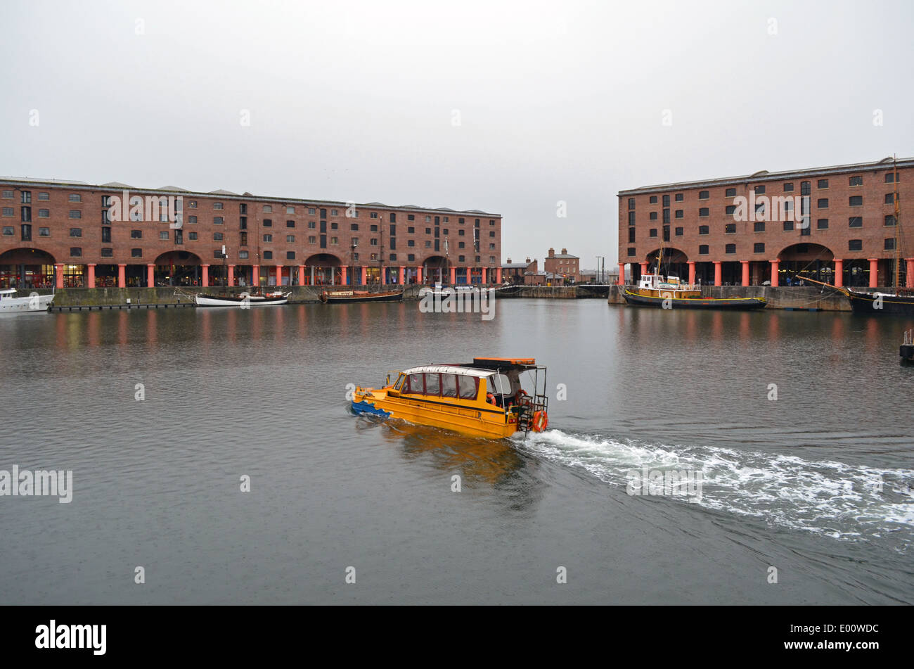 Albert Dock, Liverpool, the yellow duck sails through Stock Photo - Alamy