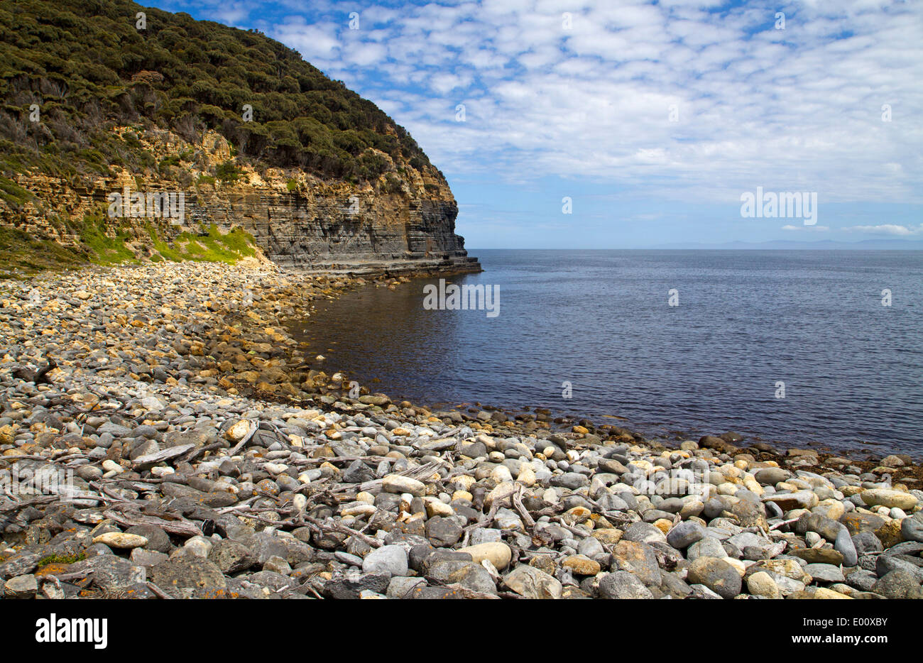 Tunnel Bay and the cliffs of Shipstern Bluff Stock Photo - Alamy