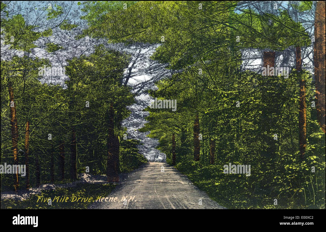 Fivemiledrive hi-res stock photography and images - Alamy