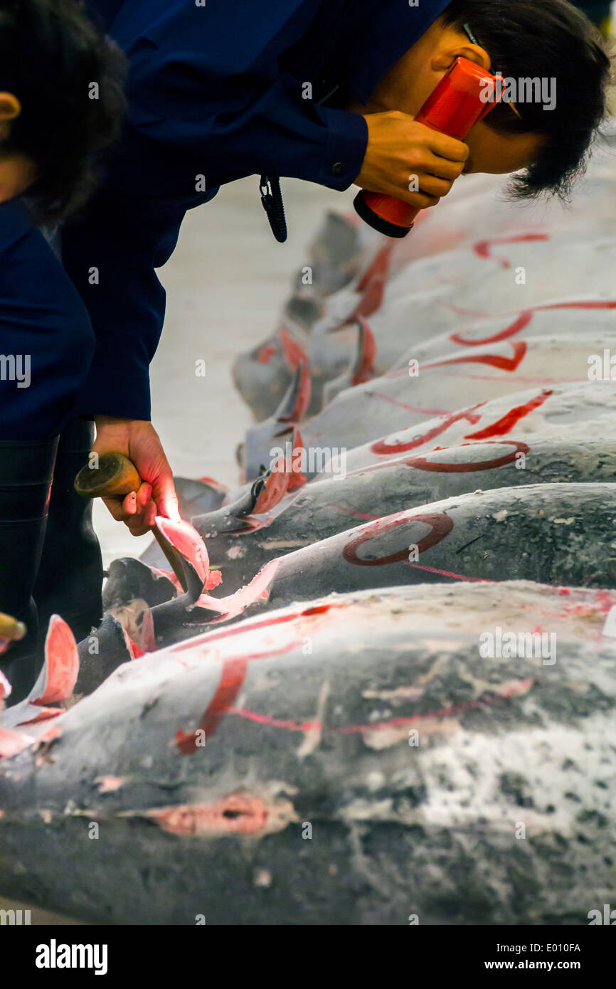 Tokyo tuna auction hi-res stock photography and images - Alamy