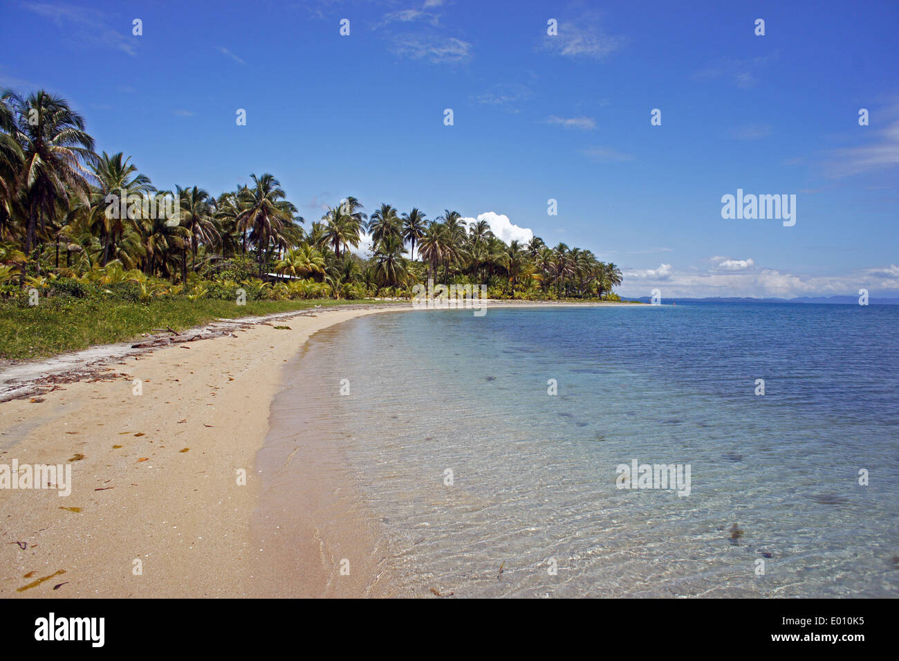 natural caribbean beach on bastimentos island in panama Stock Photo - Alamy