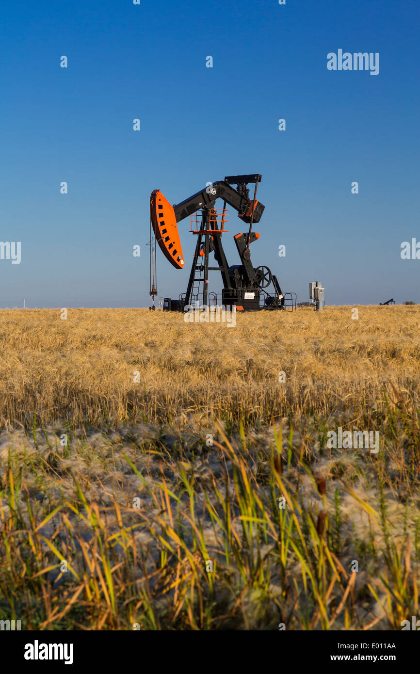 An oil production pump jack in the Bakken play oil field deposits near ...