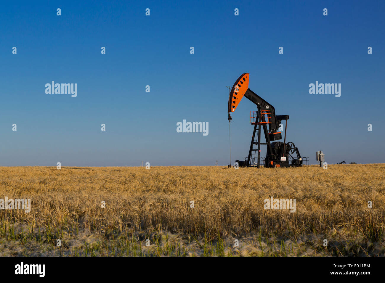An oil production pump jack in the Bakken play oil field deposits near ...