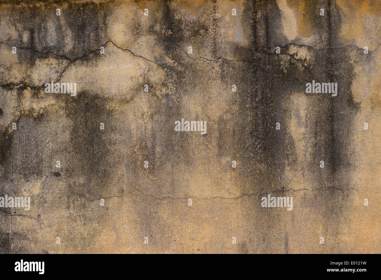 old wall background, light mustard yellow with black mold wall, cement ...