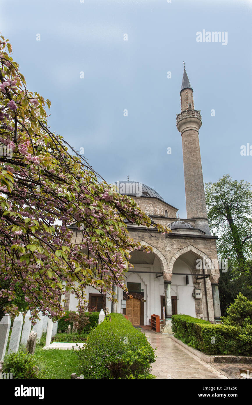 Mosque sarajevo hi-res stock photography and images - Alamy
