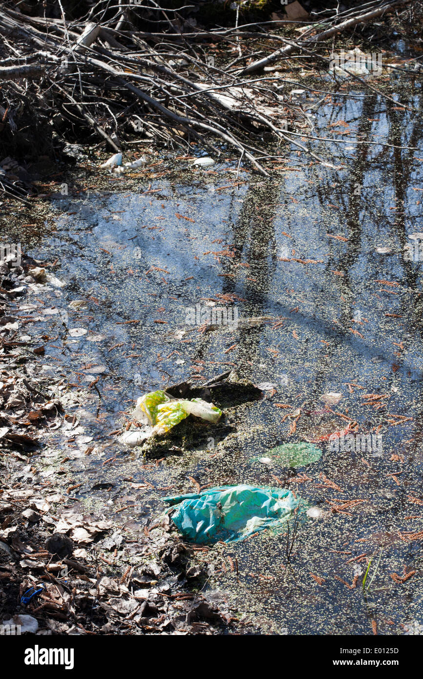 Pond pollution hi-res stock photography and images - Alamy