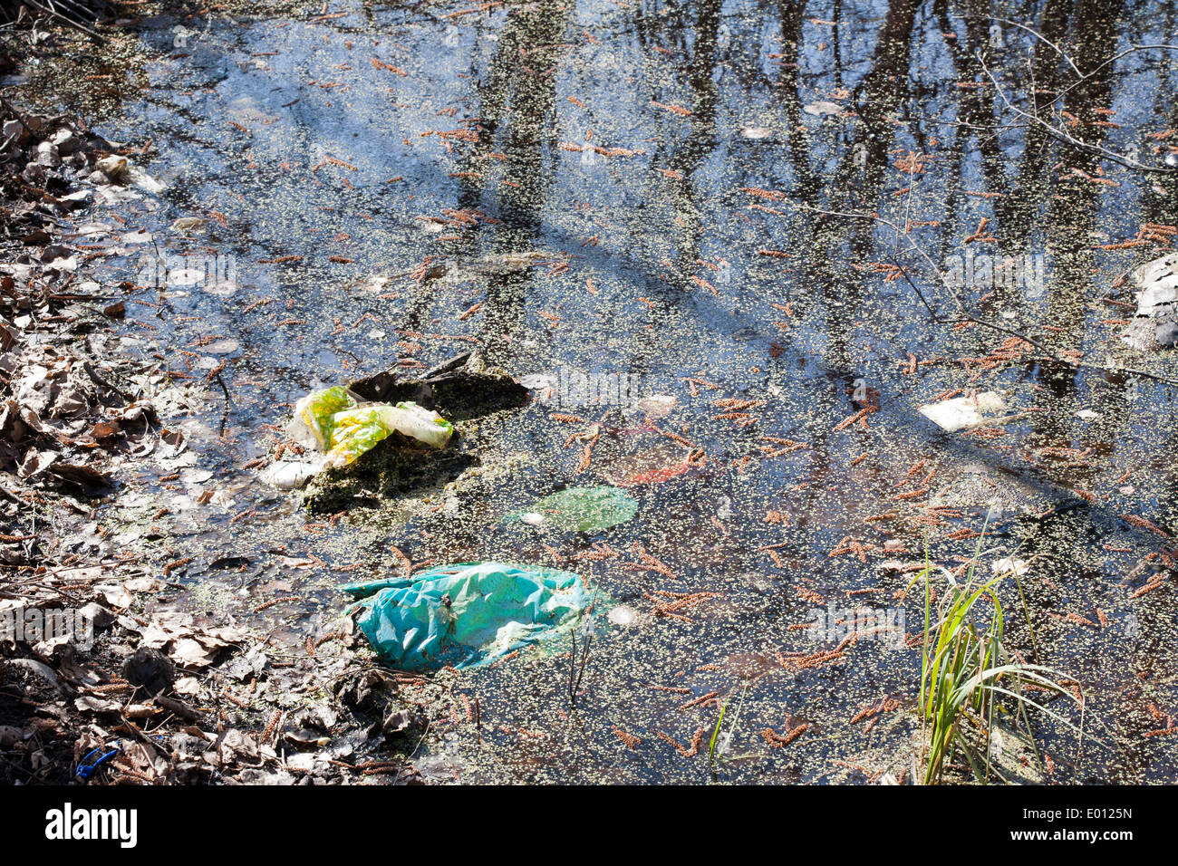 Pond pollution hi-res stock photography and images - Alamy
