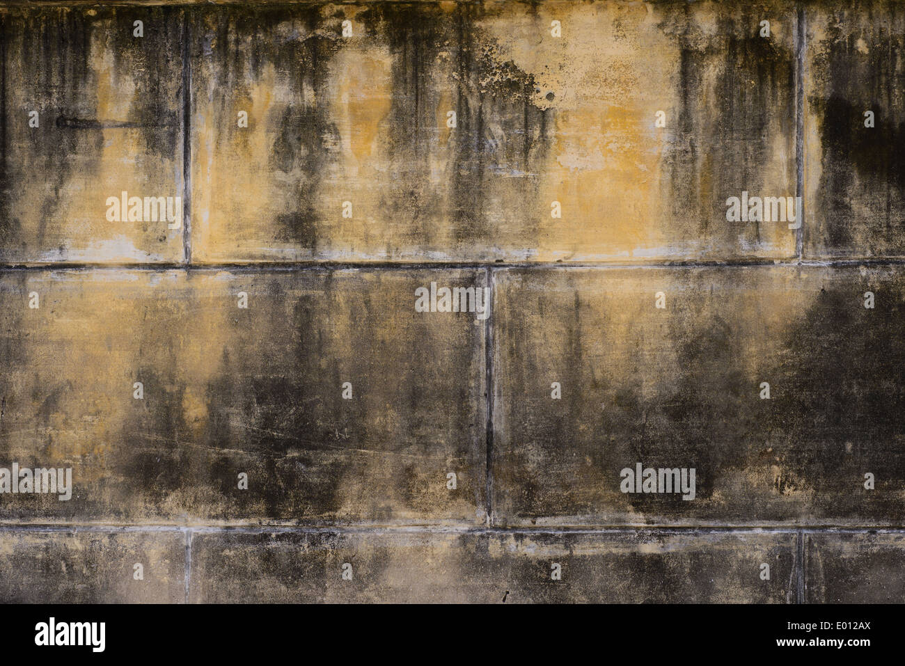 old wall background, light mustard yellow with black mold wall, cement ...