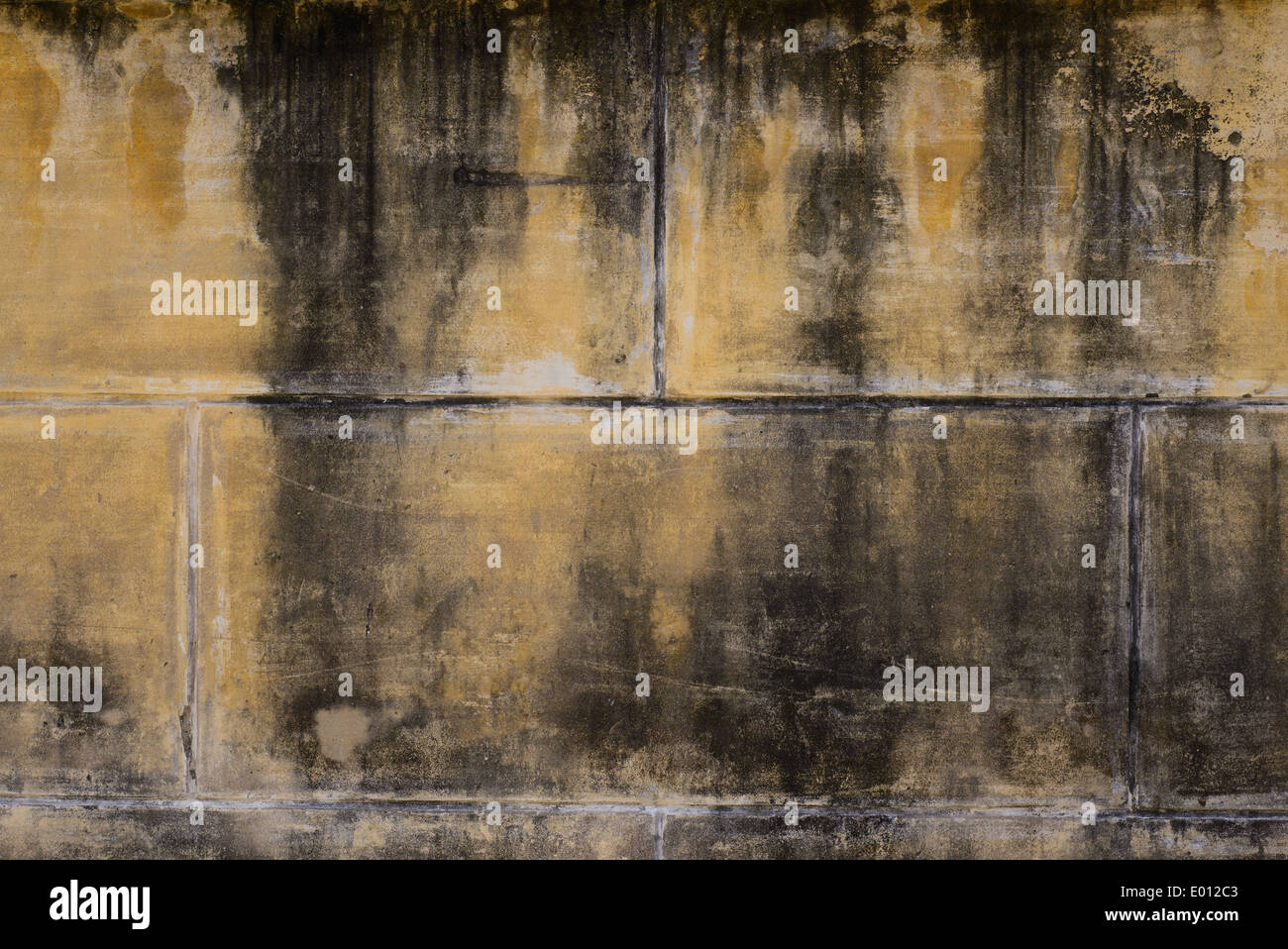 old wall background, light mustard yellow with black mold wall, cement ...