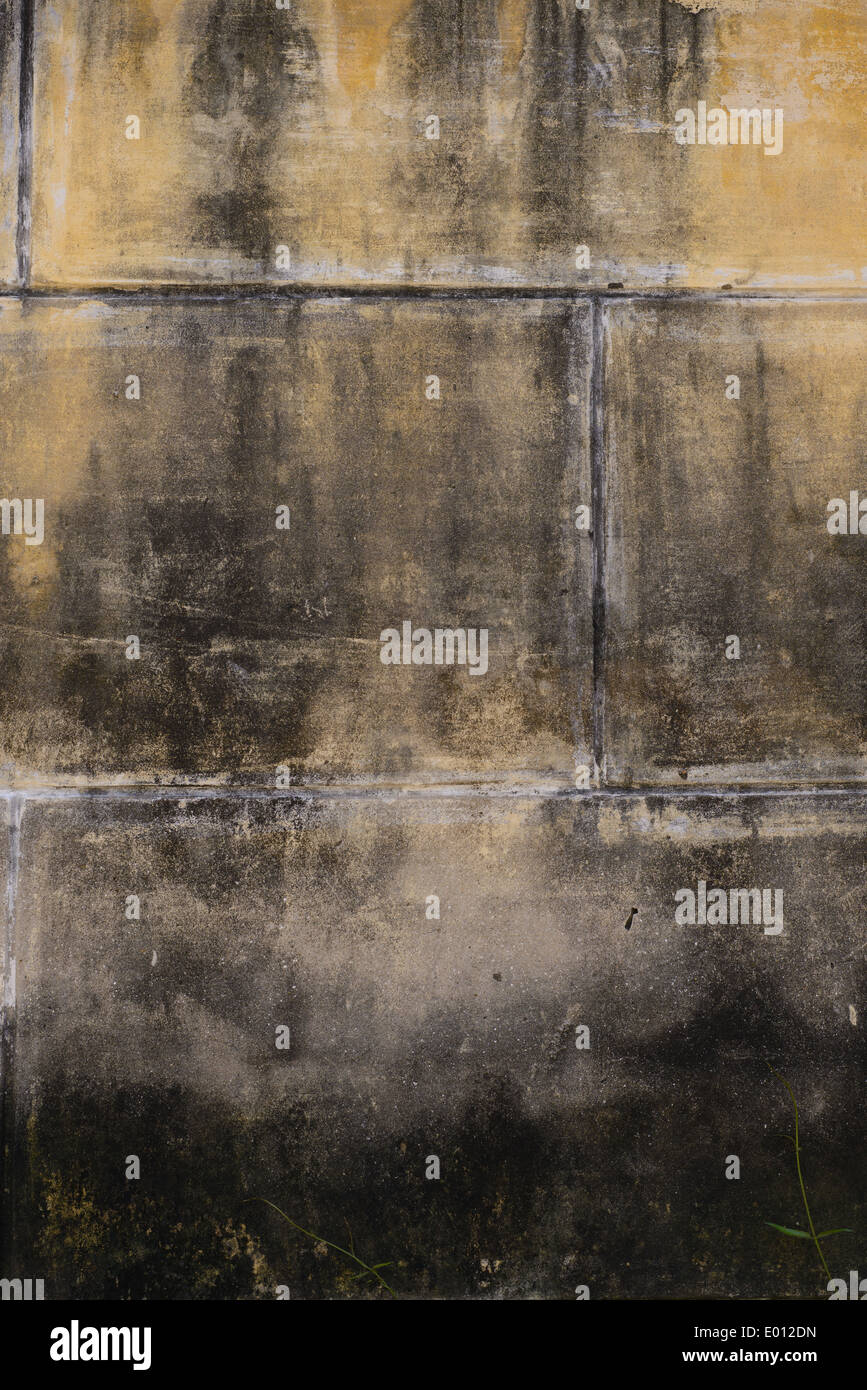 old wall background, light mustard yellow with black mold wall, cement ...