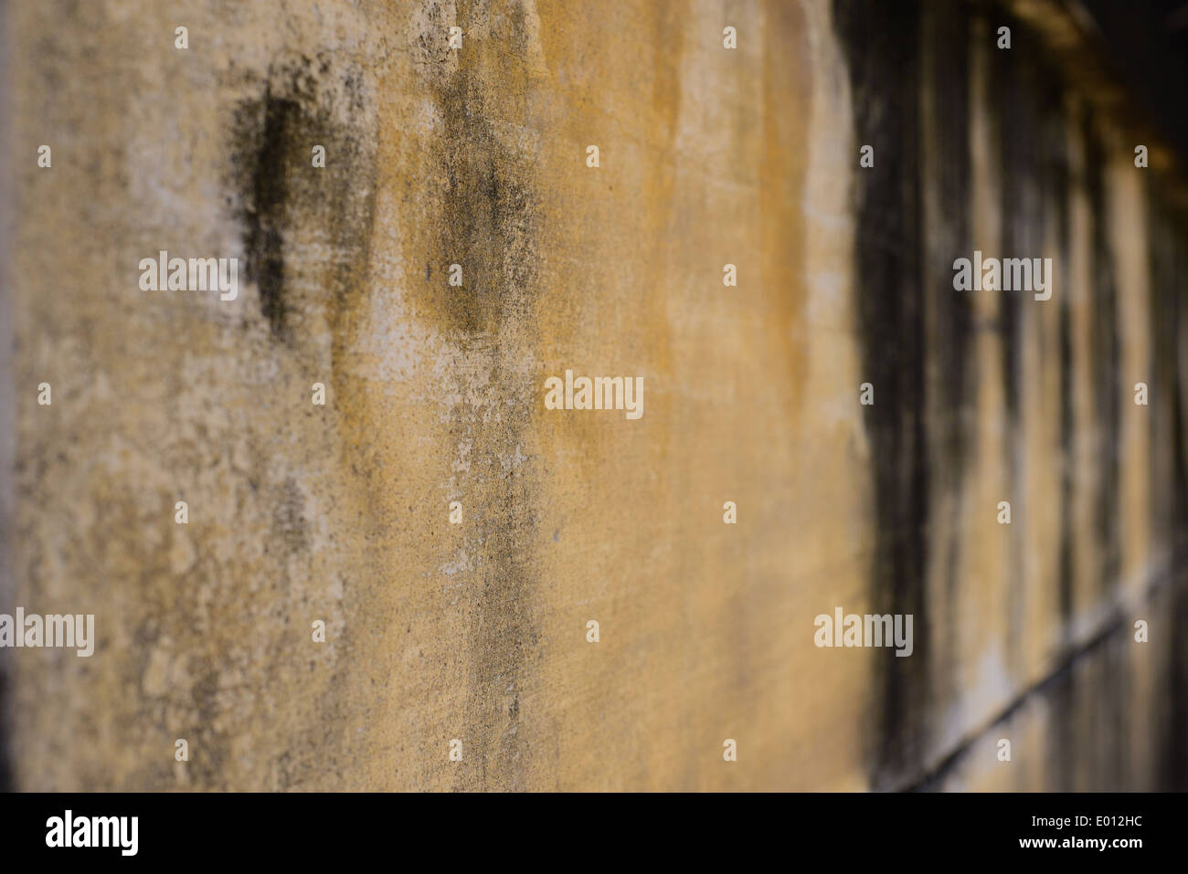 old wall background, light mustard yellow with black mold wall, cement ...
