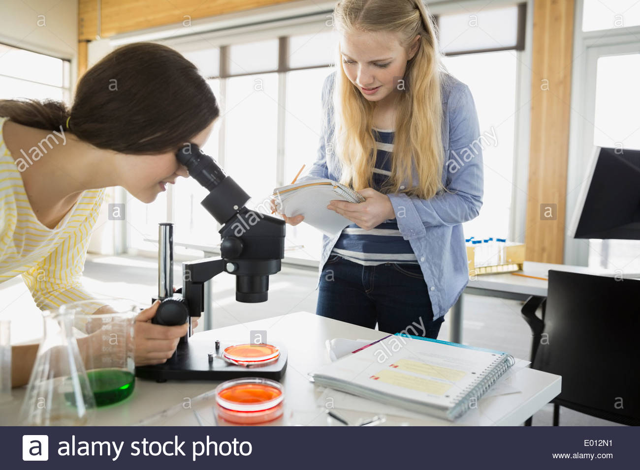 High school class project hi-res stock photography and images - Alamy