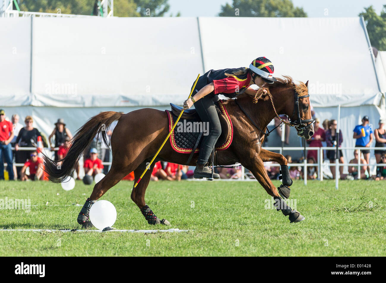 Rider competing in the Mounted Games at Hastings, New Zealand Stock ...