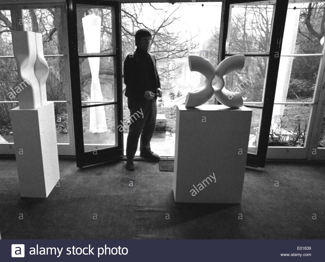 Nebelung Stock Photos & Nebelung Stock Images - Alamy