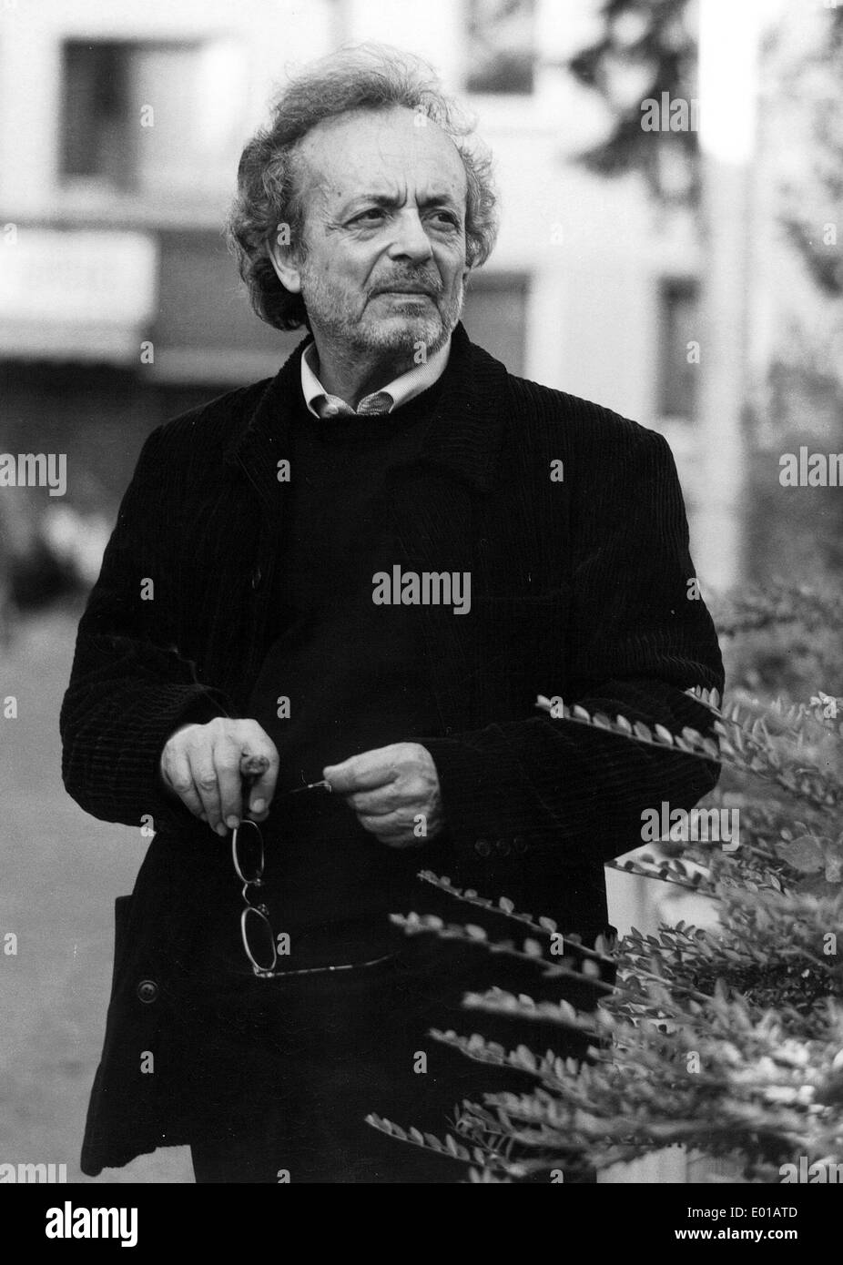 The adonis Black and White Stock Photos & Images - Alamy