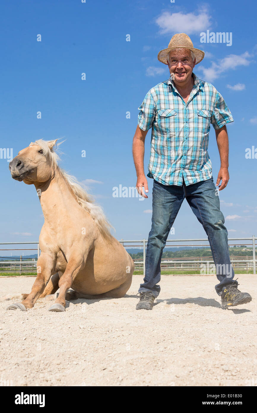 Quarter Pony. Man next to a palomino sitting stallion. Germany Stock ...