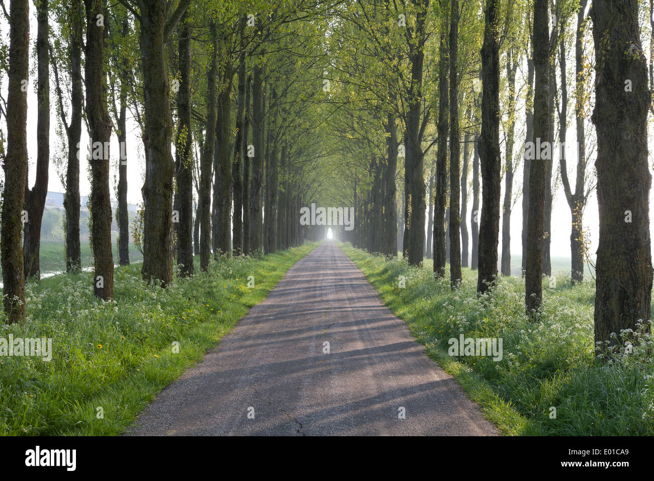 Line tunnel hi-res stock photography and images - Alamy