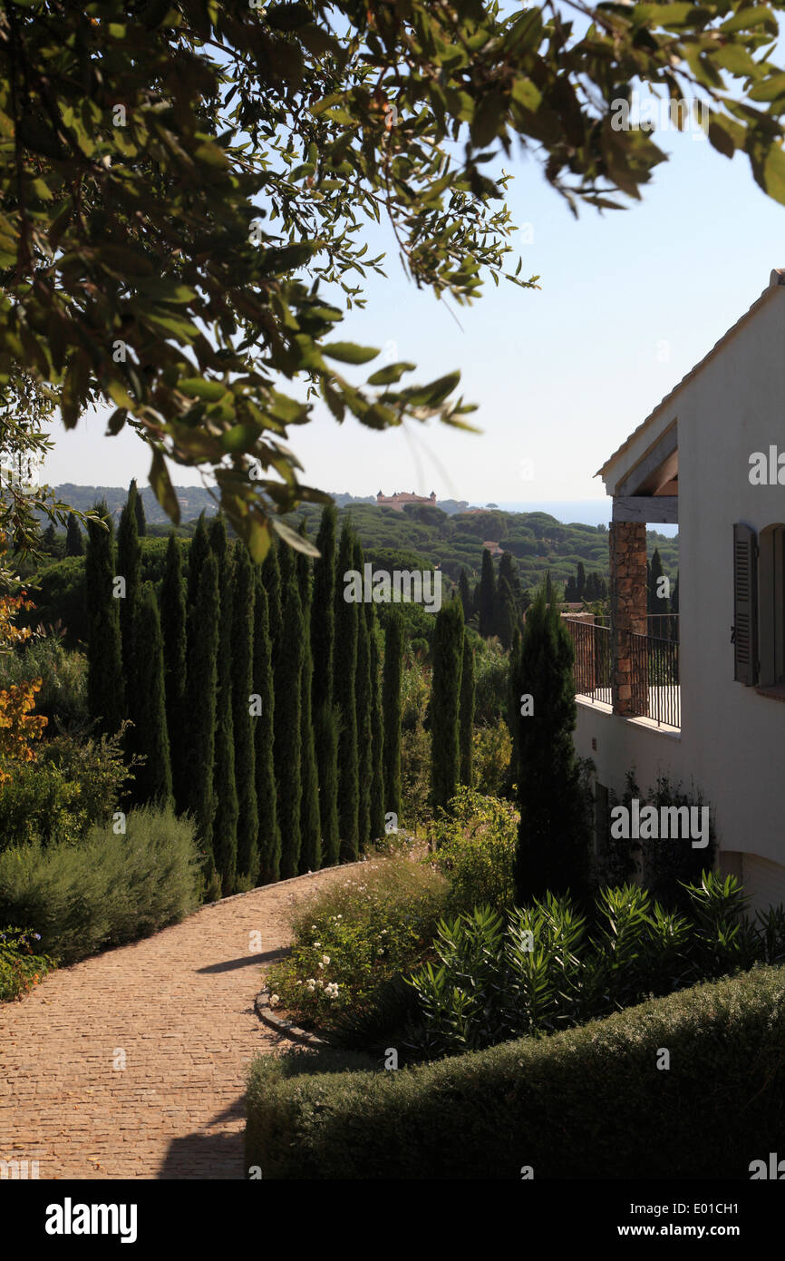 View down the drive towards the sea with row of cypresses Belleview ...