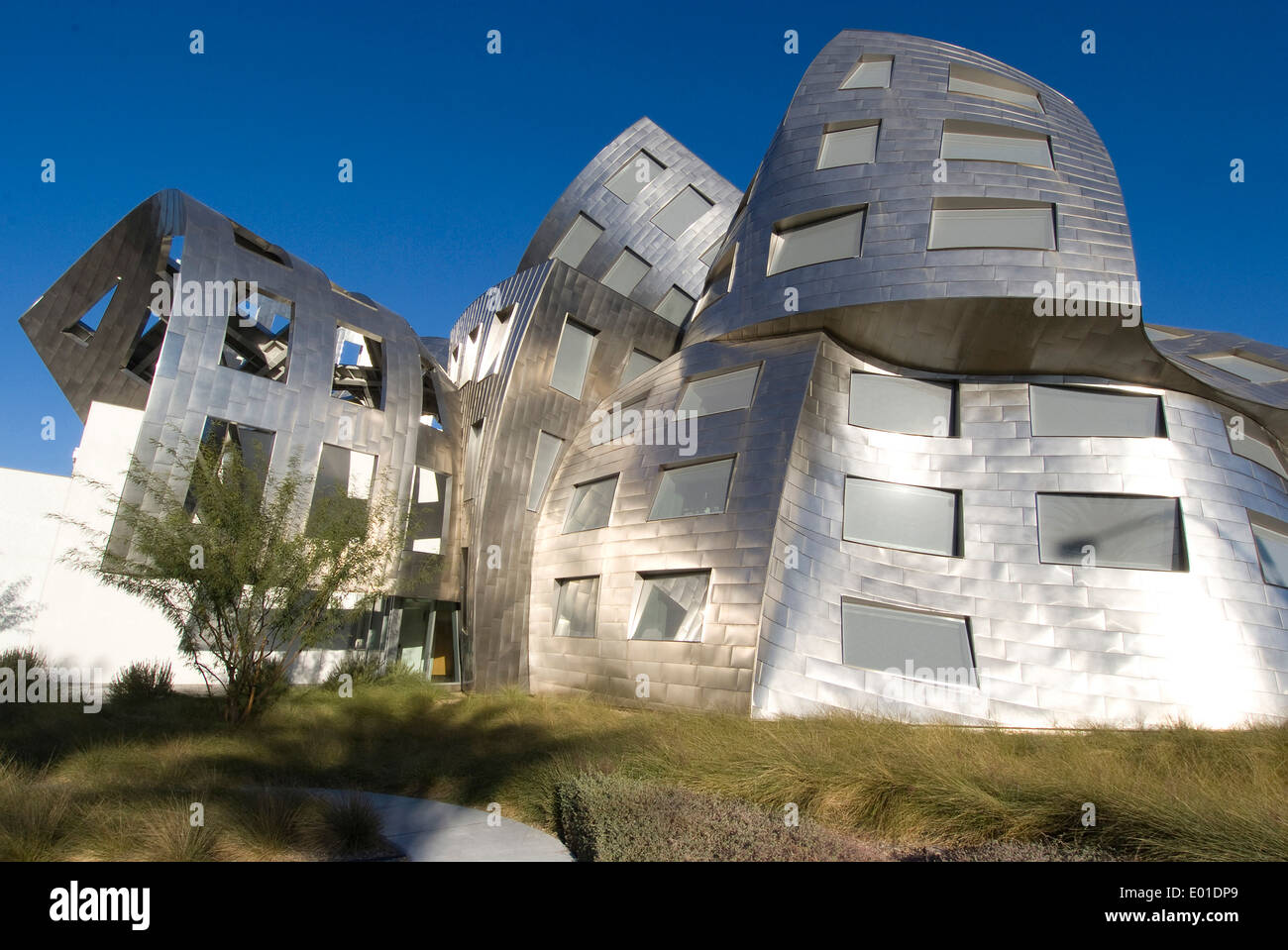 The Cleveland Clinic, Lou Ruvo Center for Brain Health, Frank Gehry ...