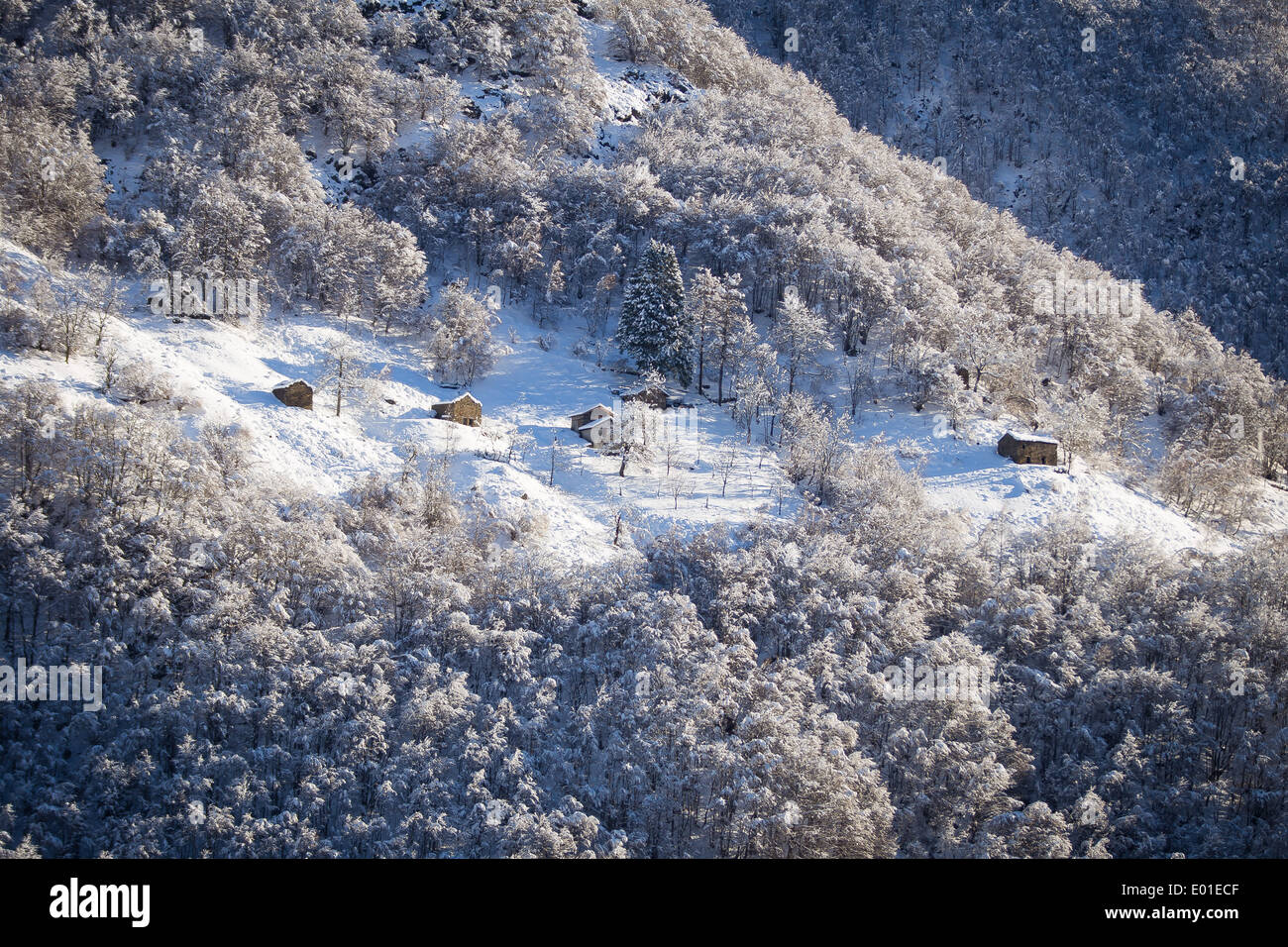 Snowy Mountains in italian alps Stock Photo - Alamy