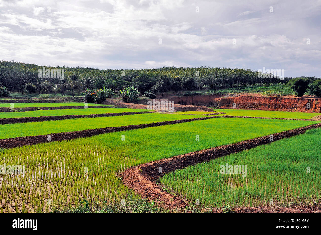 People in terrace in autumn hi-res stock photography and images - Alamy