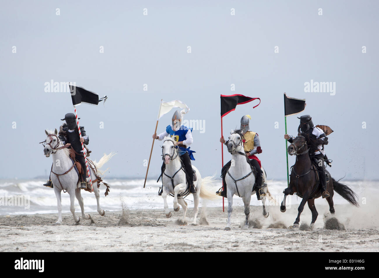 Pure Spanish Horse, Andalusian. Stunt-men dressed as knights galloping ...
