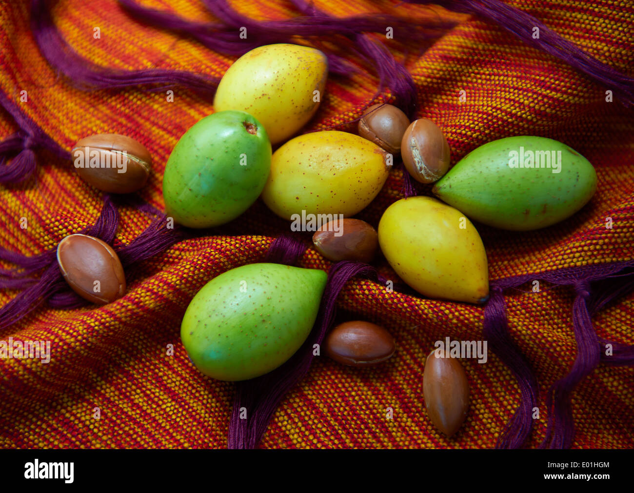 Argan Fruit High Resolution Stock Photography and Images - Alamy