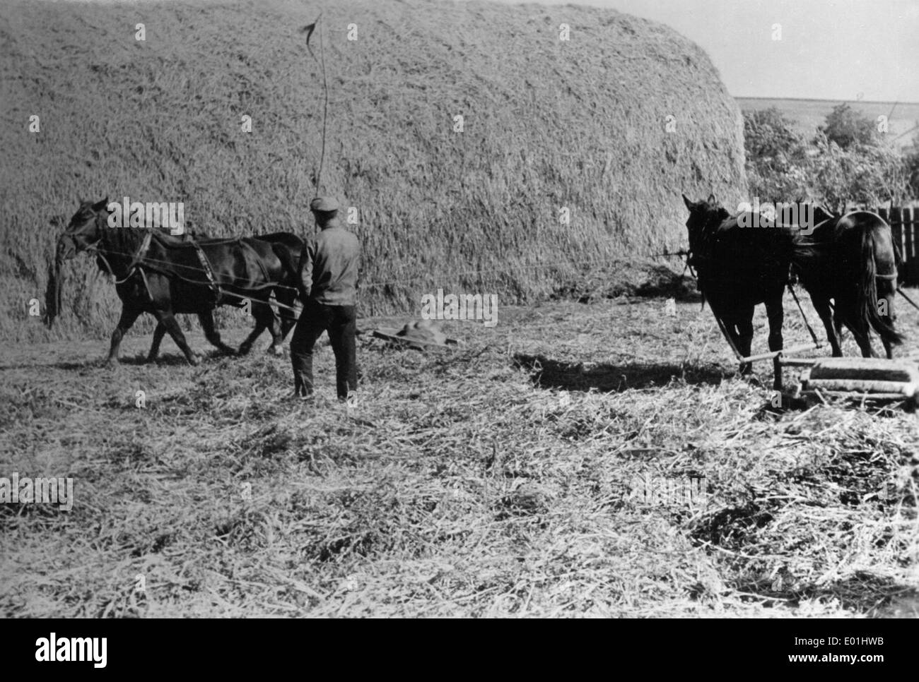 Romania 1945 hi-res stock photography and images - Alamy