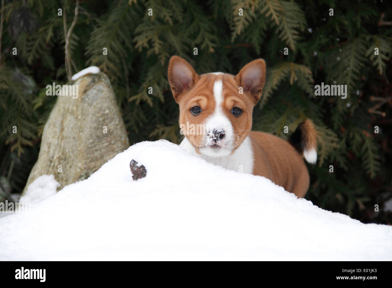 Behind the pile of snow hi-res stock photography and images - Alamy