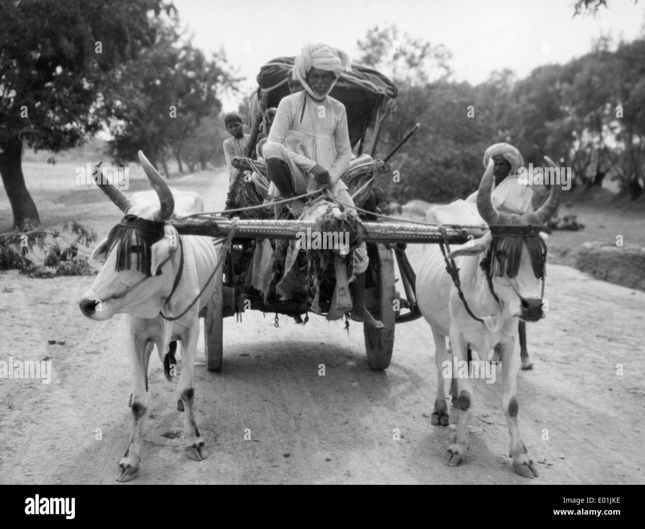 A 12 oxcart hi-res stock photography and images - Alamy
