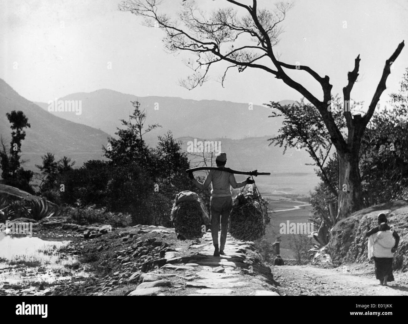 Indian porter in the Himalayas Stock Photo - Alamy
