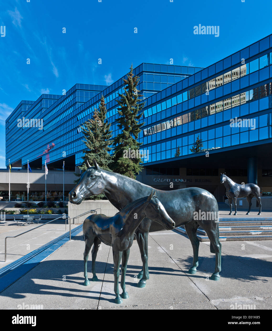Calgary Municipal Building High Resolution Stock Photography and Images ...