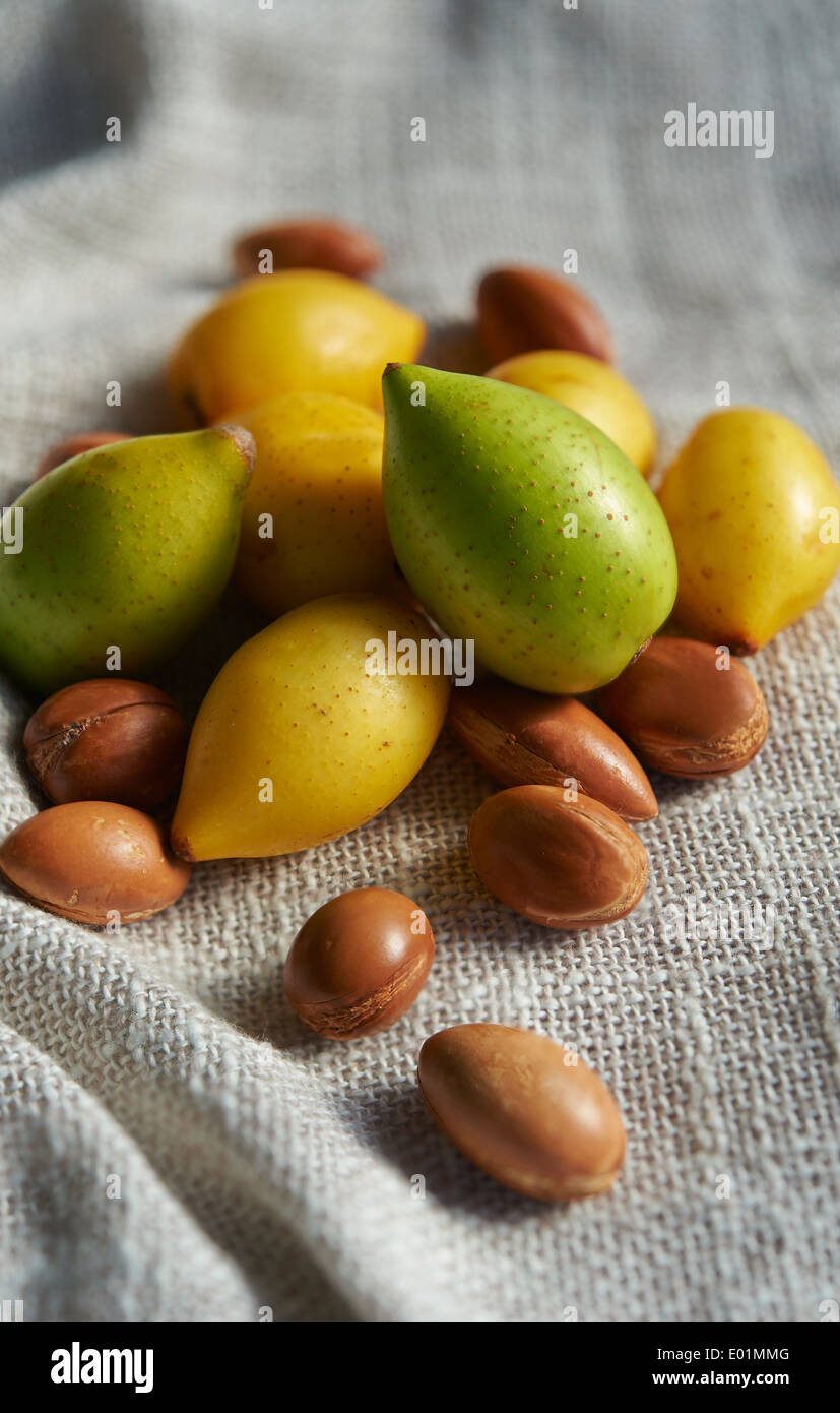Argan fruit hi-res stock photography and images - Alamy
