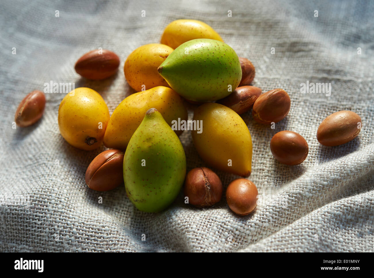 Argan Oil Production Stock Photos & Argan Oil Production Stock Images ...