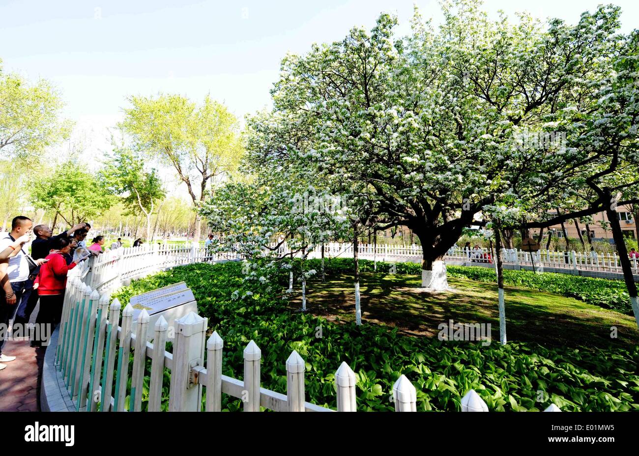 Over 120 years old hi-res stock photography and images - Alamy