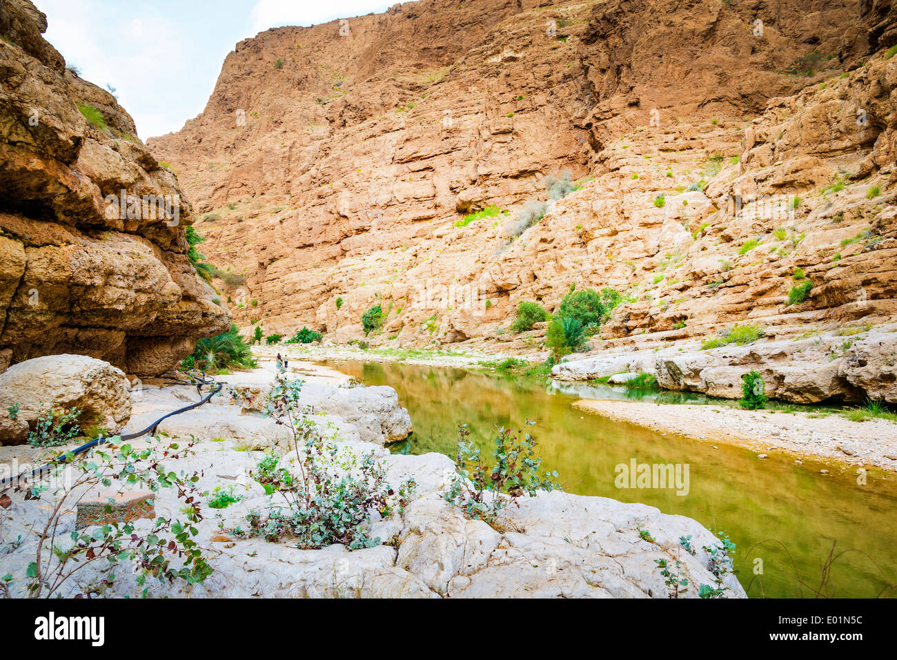 Oman river valley hi-res stock photography and images - Alamy