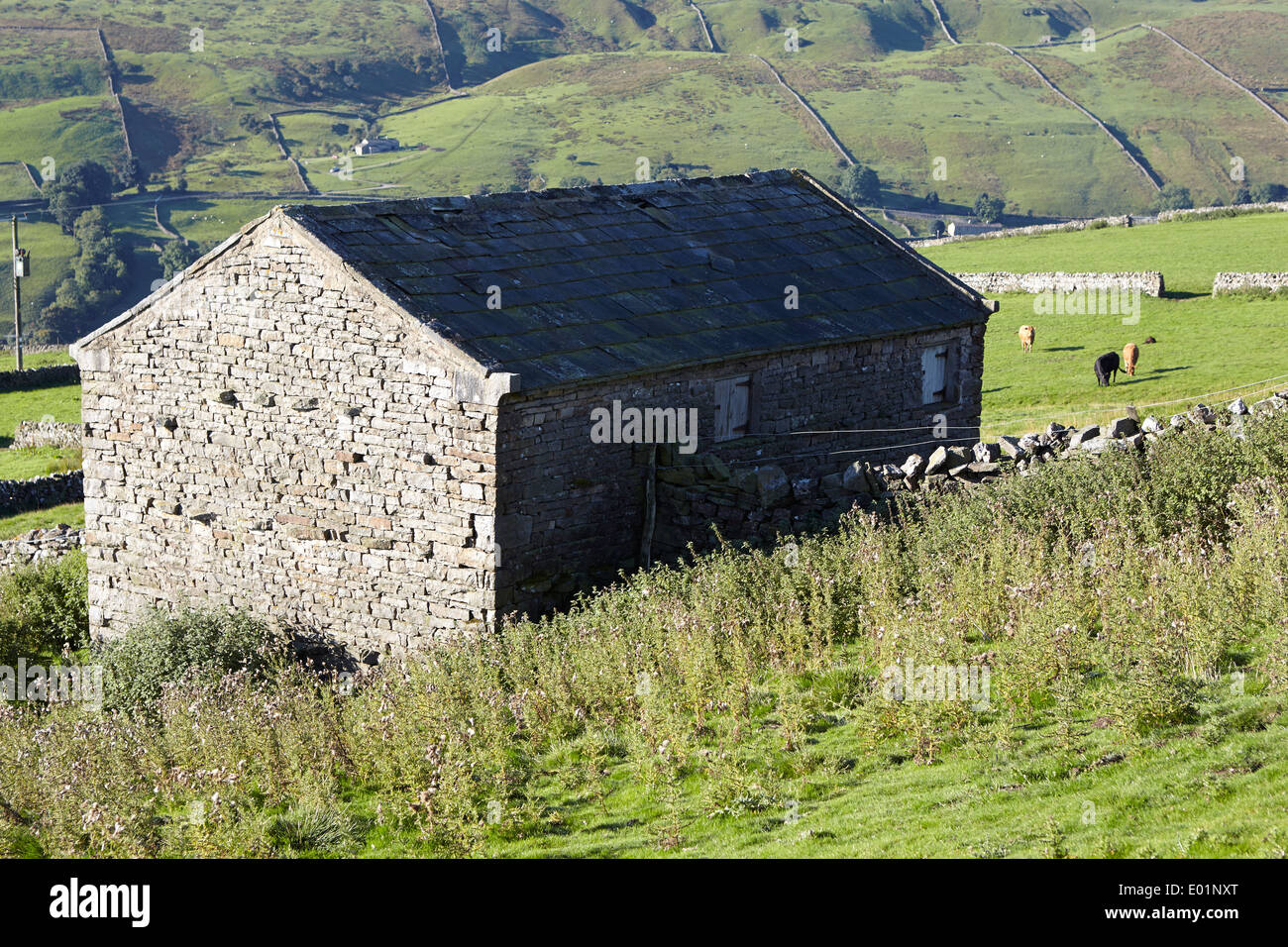 Barn yorkshire dales hi-res stock photography and images - Alamy