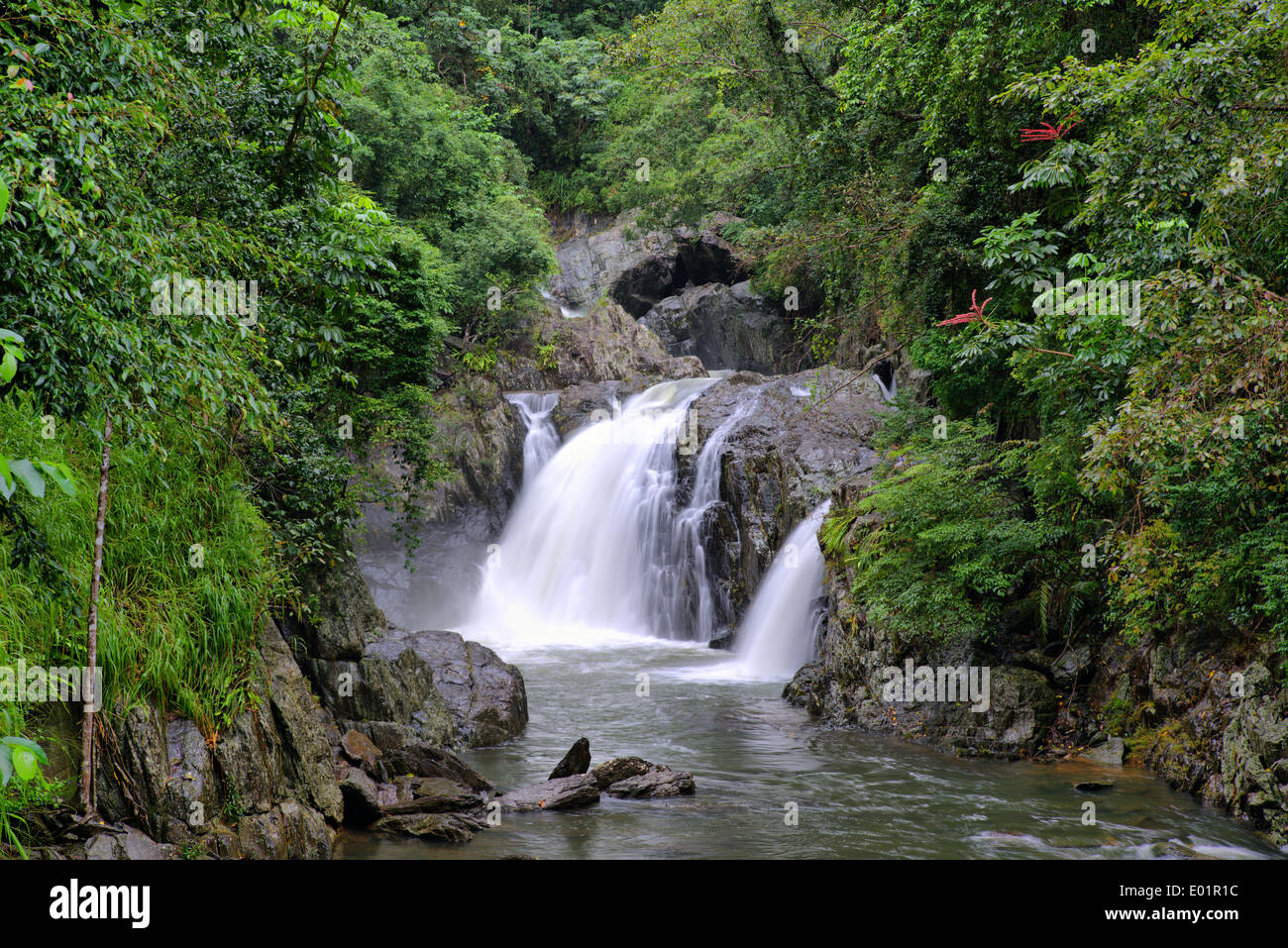 Crystal Cascades rainforest, Cairns, Queensland, Australia Stock Photo - Alamy